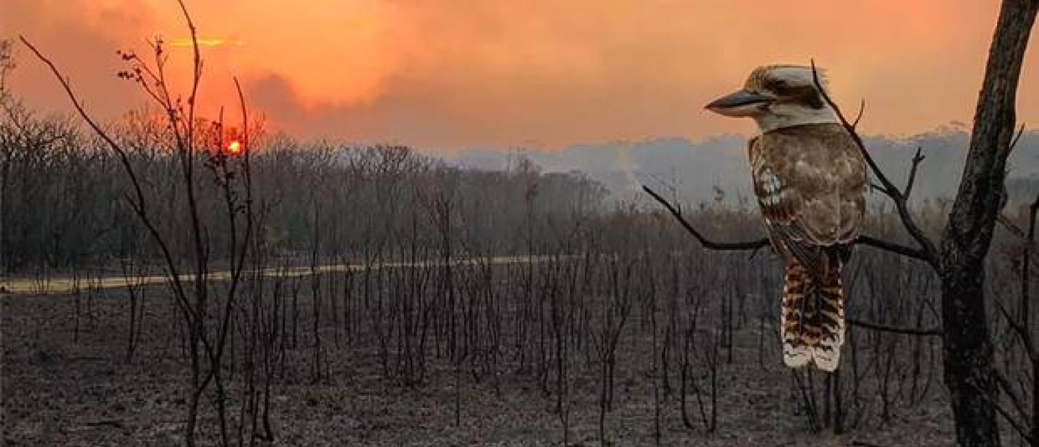 Support for Australian Friends | Quakers